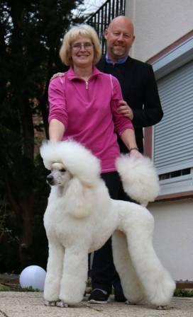 Pudelsalon – Barbone Gigante Pudelzucht – DPK / VDH / FCI